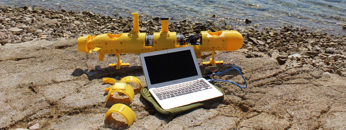 Beobachtungheim - Amethyst AUV Platform
